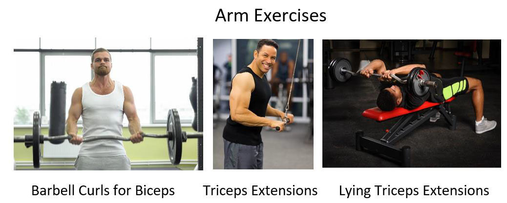 Hardgainer Part 14: Hardgainers With A Fast Metabolism - Precision ...